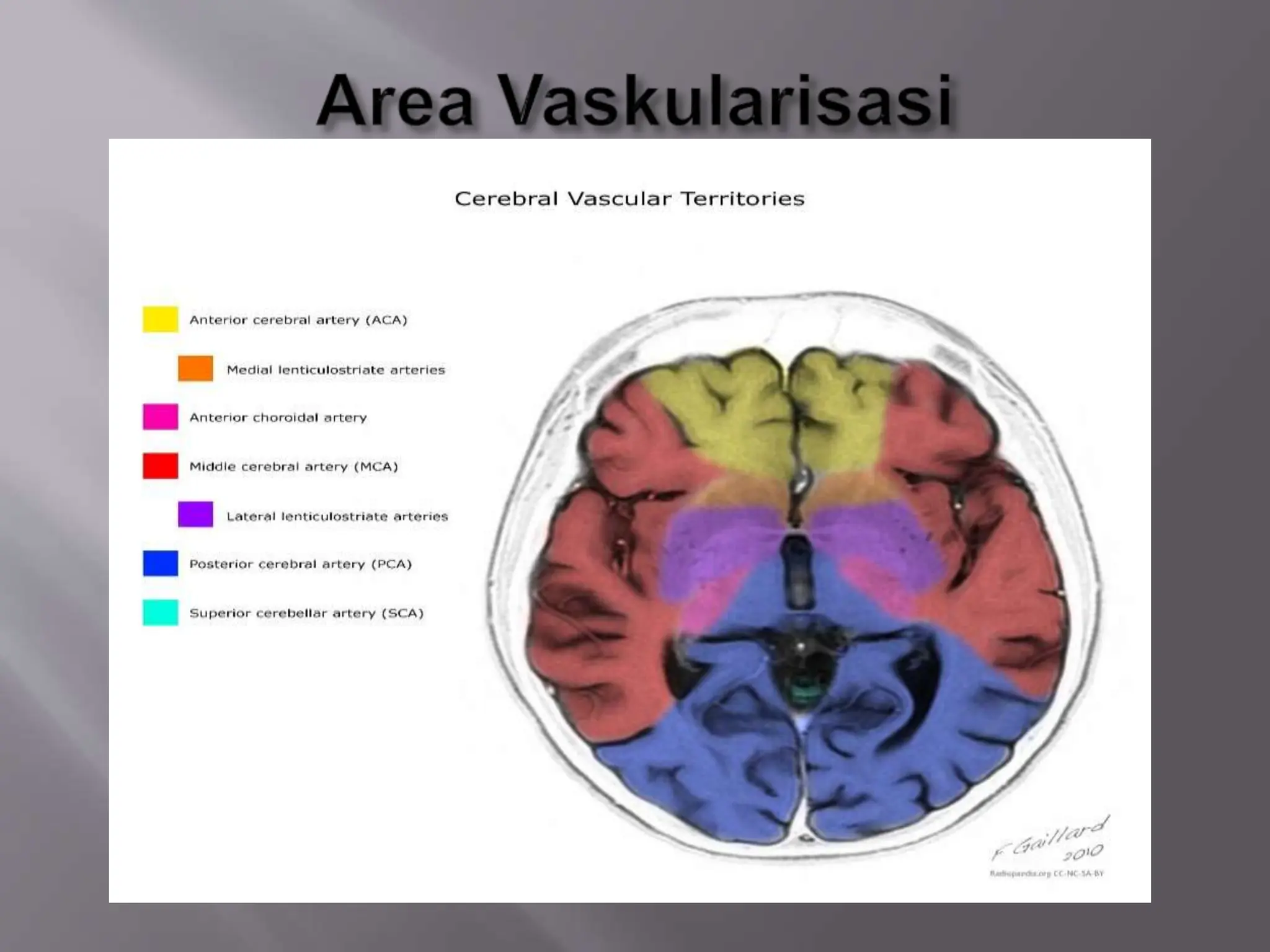4a. Bimbingan Neuroimaging CT Scan Kepala - Residen.pptx