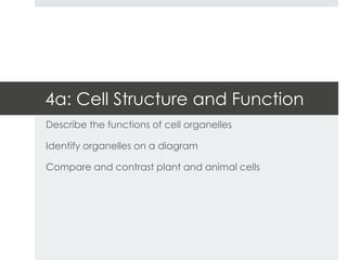 4a Cell Structure and Function | PPTX