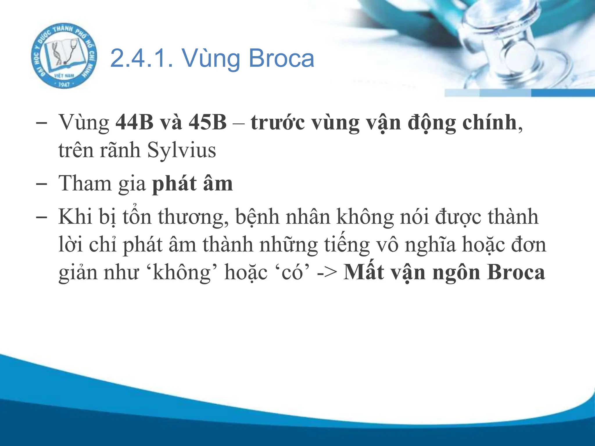 4A - Chức năng vận động của vỏ não ppt.pptx