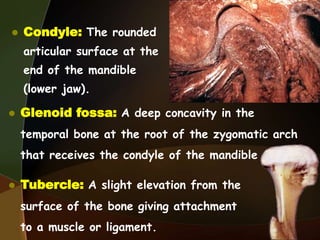 4 a - Introduction - jaw relation | PPT