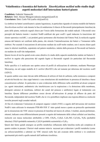 Master thesis summary (italian) | PDF