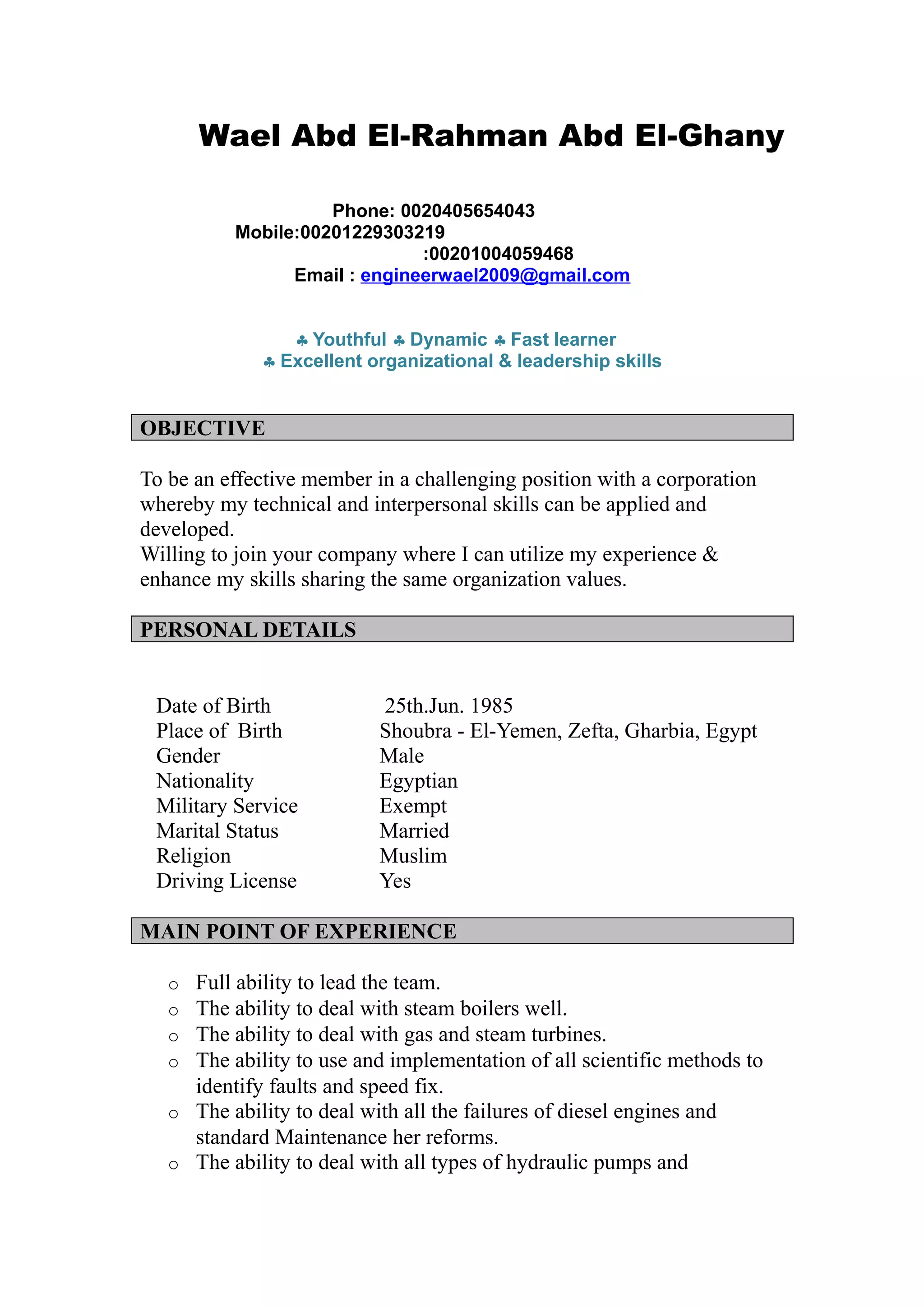 Wael cv ubdate | PDF