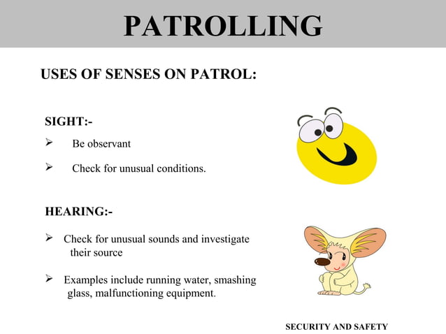 PATROLLING | PPT | Home Security | Home & Garden