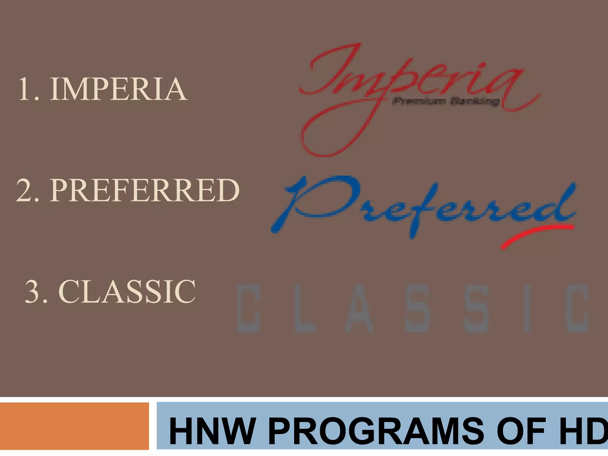 Presentation On HNW Initiatives and Customer Feedback (2) | PPTX