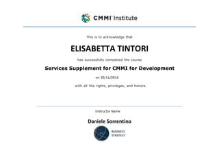 E. Tintori_CMMI-SVC Supplement | PDF