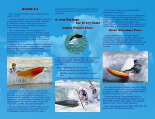 DES114 Kayak Brochure | PDF