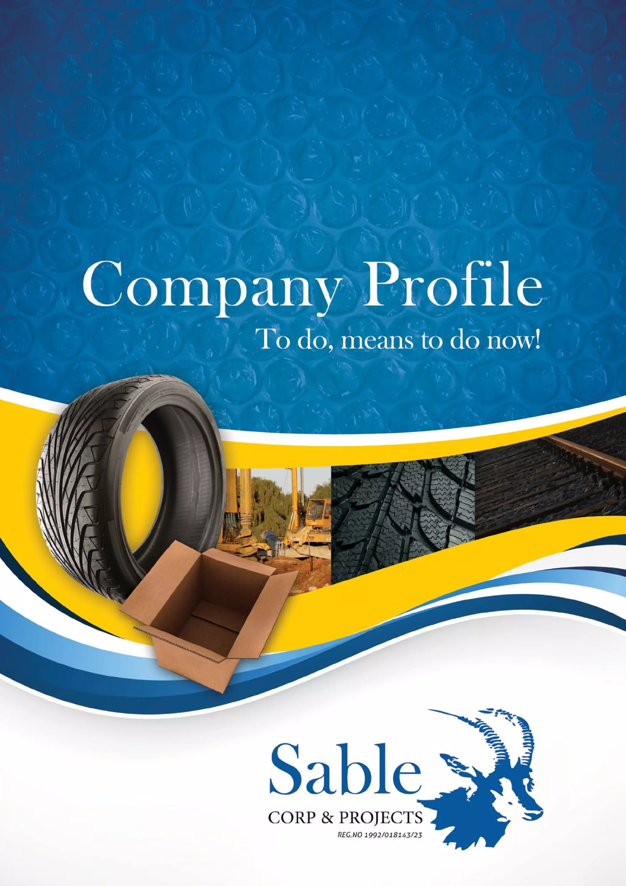 Sable Corp Company Profile | PDF
