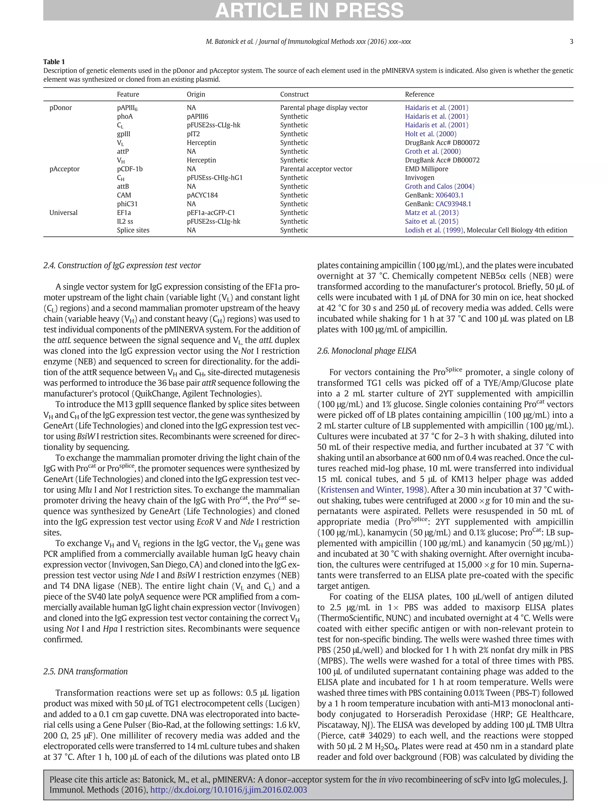 pMINERVA Cloning System | PDF