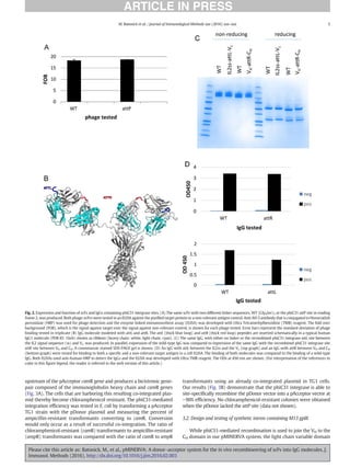 pMINERVA Cloning System | PDF