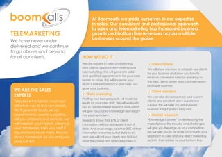 Boomerang brochure - Client | PPT