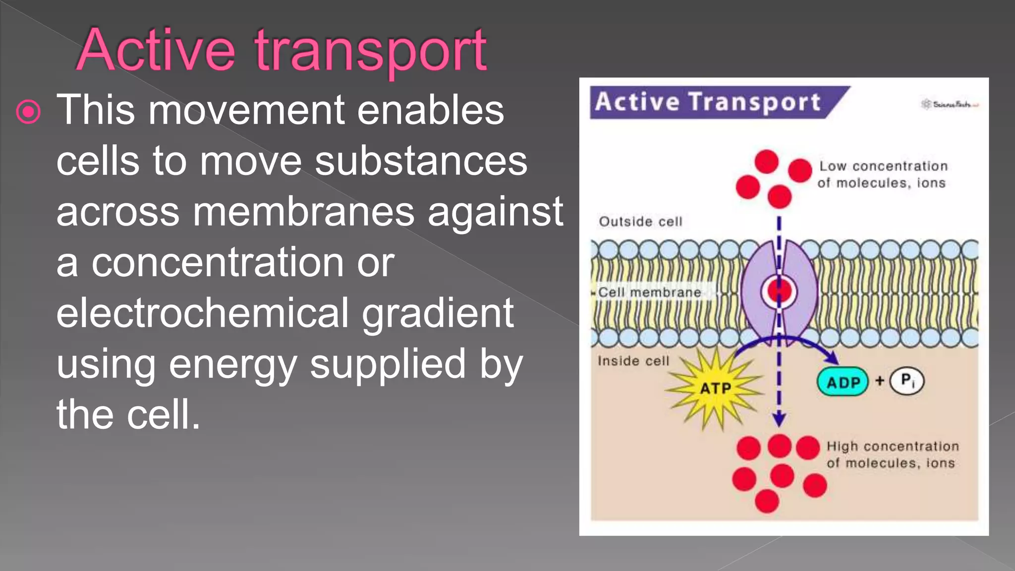 AS Biology - Active transport | PPT
