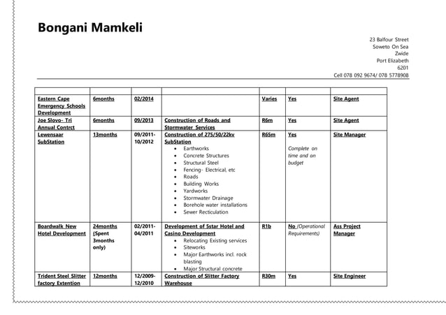 Bongani Mamkeli CV Rev.Jan2017 | PPT
