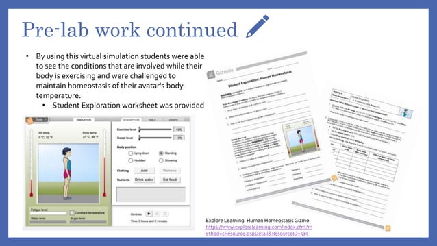 Example Lesson | PPT