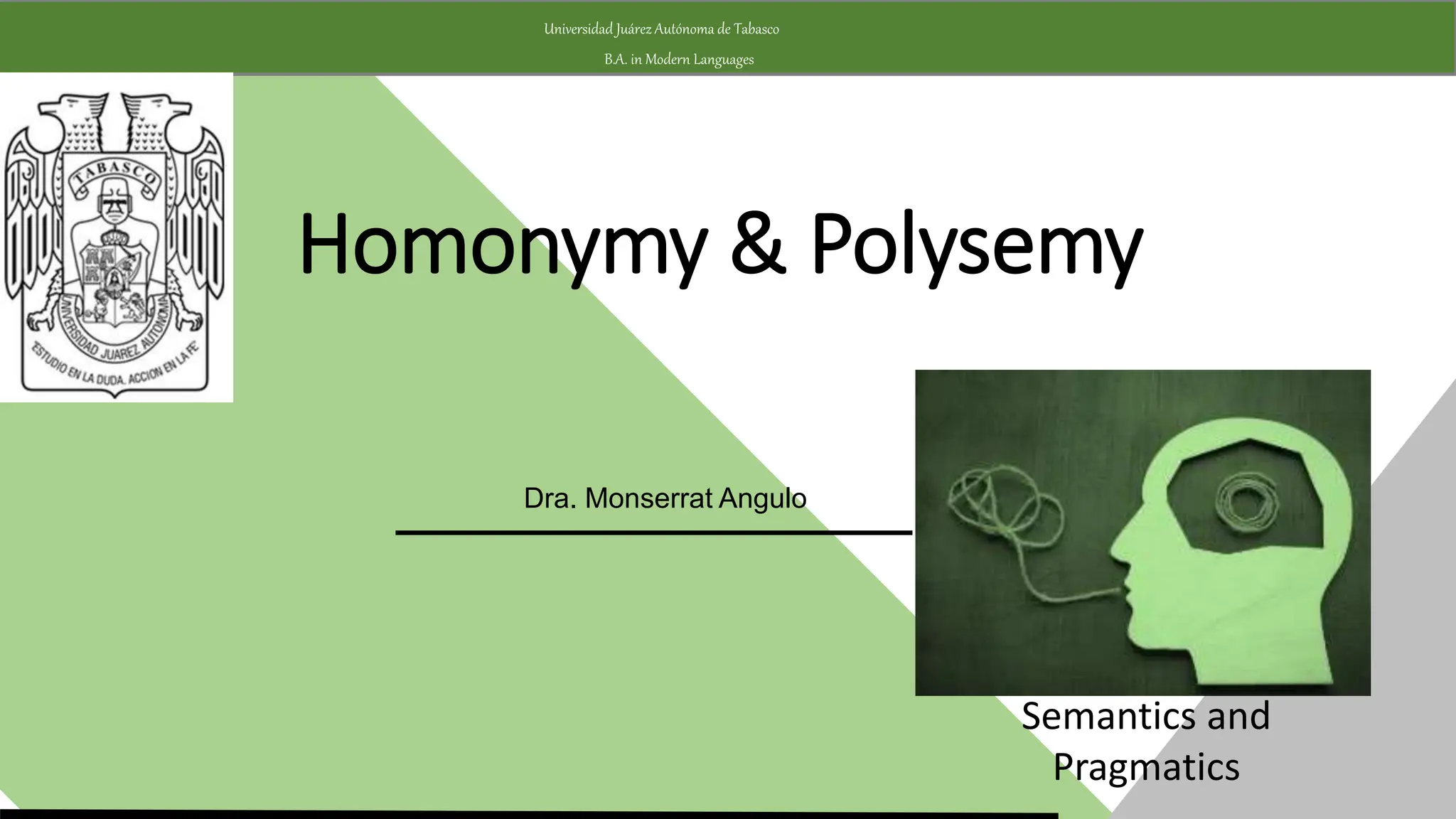 HOMONYMYS ANDPOLYSEMYS- Explanation and examples | PPTX