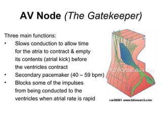 Junctional Rhythms - BMH/Tele | PPT