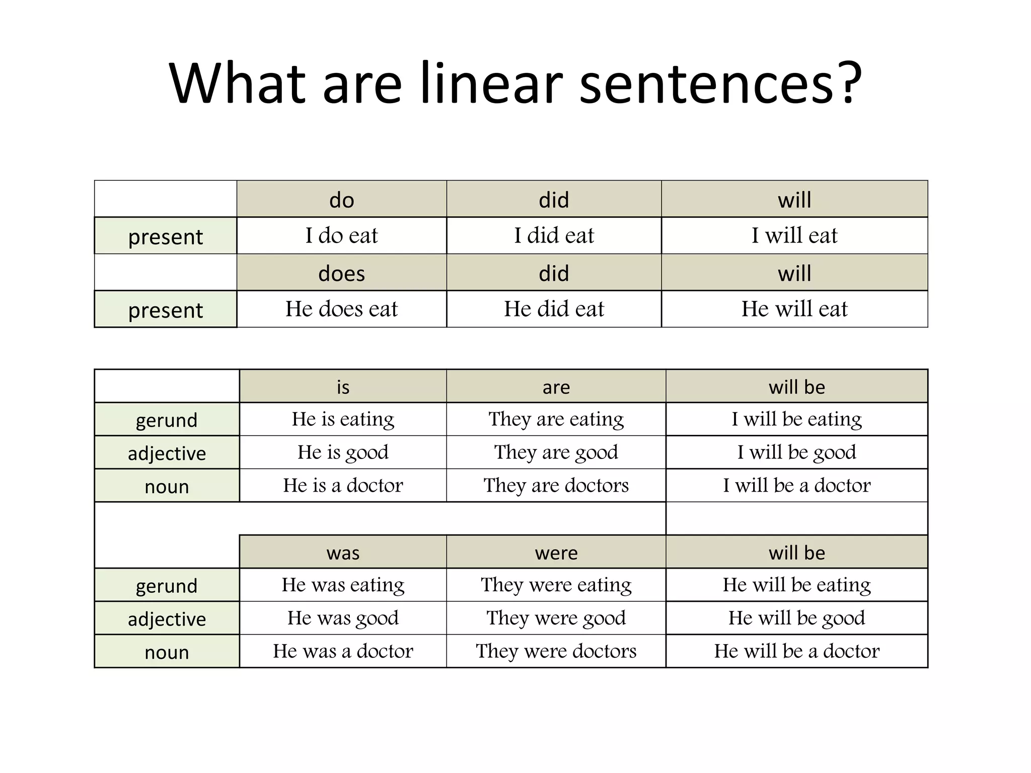 Linear and Conditionals | PPTX