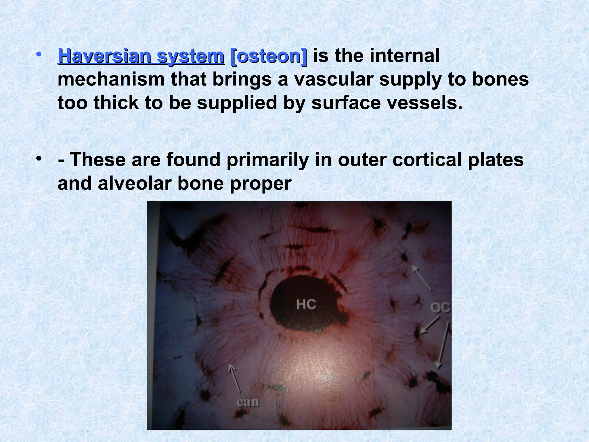 4 ALVEOLAR BONE in periodontology final.ppt