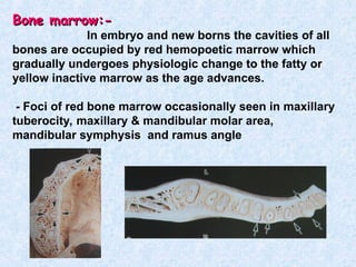 4 ALVEOLAR BONE in periodontology final.ppt