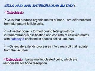 4 ALVEOLAR BONE in periodontology final.ppt