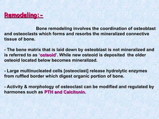 4 ALVEOLAR BONE in periodontology final.ppt