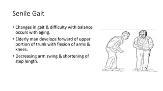 Geriatric Gait