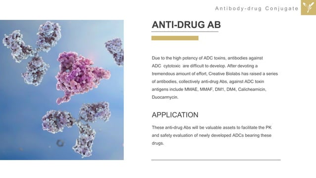 Antibody drug Conjugates | PPT