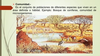 ecología ecosistema | PPTX