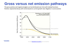 Allocating negative emissions to countries | PPT