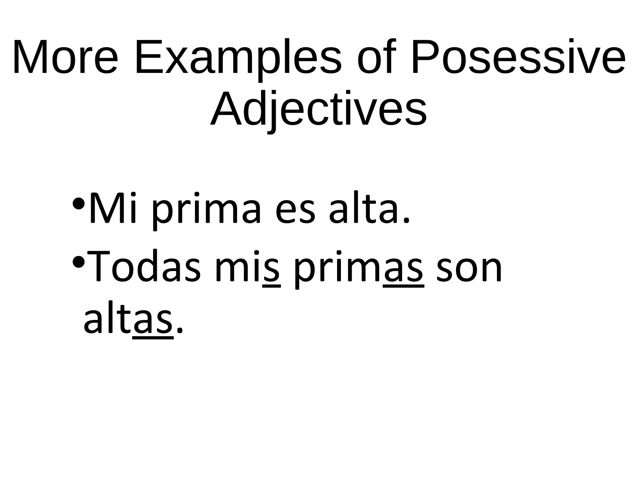 Spanish possesive adjectives | PPT