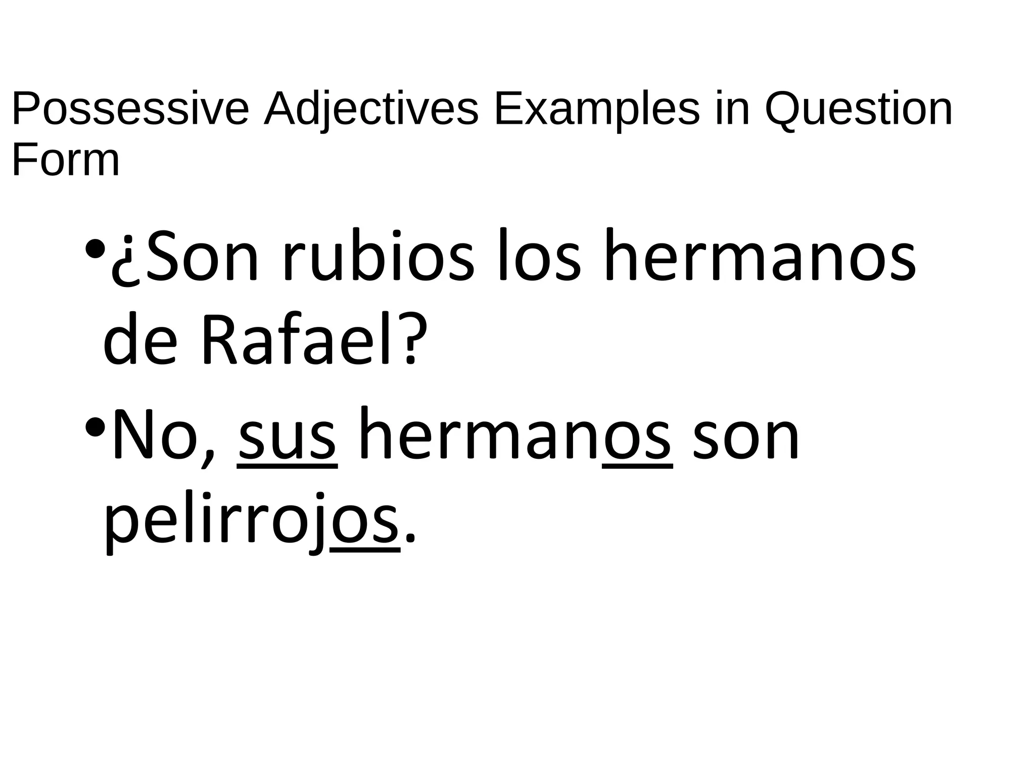 Spanish possesive adjectives | PPT
