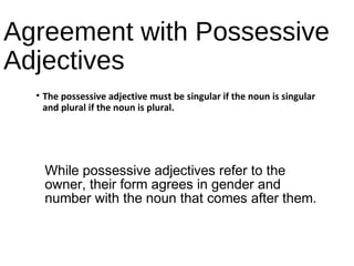 Spanish possesive adjectives | PPT