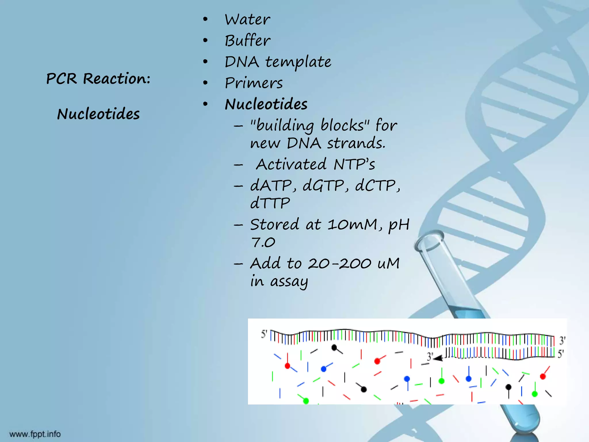 Polymerase chain reaction (PCR) BY DR YOUSIF HAMED MOHAMED SHARIF | PPT ...