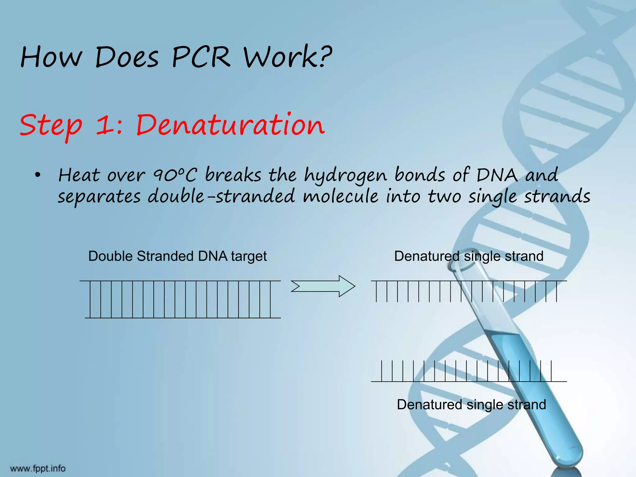 Polymerase chain reaction (PCR) BY DR YOUSIF HAMED MOHAMED SHARIF | PPT