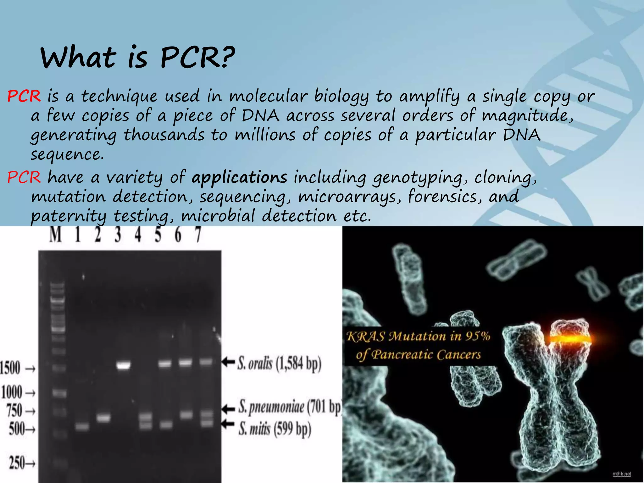 Polymerase chain reaction (PCR) BY DR YOUSIF HAMED MOHAMED SHARIF | PPT