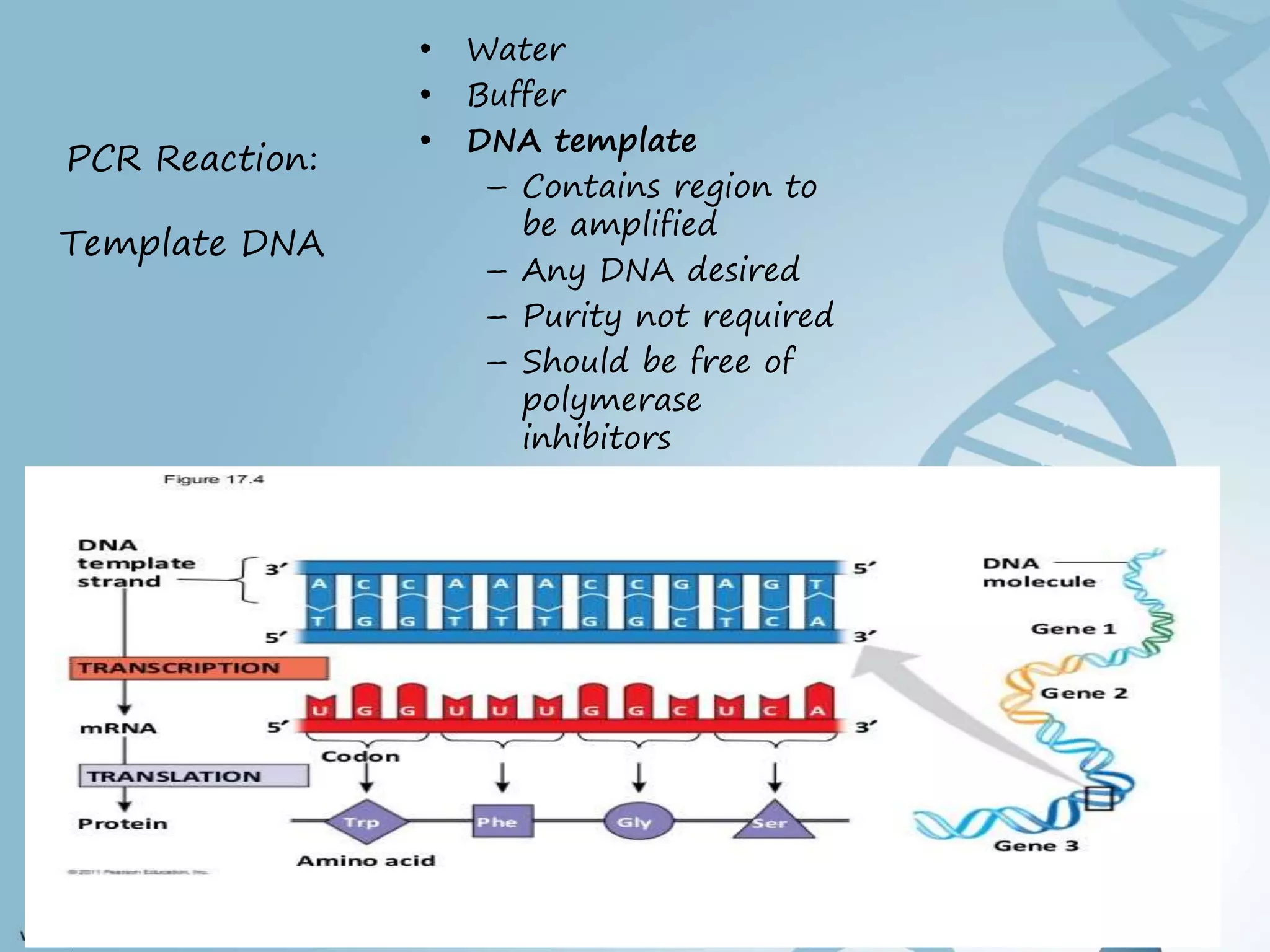Polymerase chain reaction (PCR) BY DR YOUSIF HAMED MOHAMED SHARIF | PPT