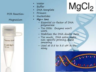 Polymerase chain reaction (PCR) BY DR YOUSIF HAMED MOHAMED SHARIF | PPT ...