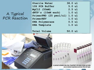 Polymerase chain reaction (PCR) BY DR YOUSIF HAMED MOHAMED SHARIF | PPT