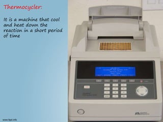 Polymerase chain reaction (PCR) BY DR YOUSIF HAMED MOHAMED SHARIF | PPT ...