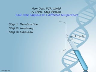 Polymerase chain reaction (PCR) BY DR YOUSIF HAMED MOHAMED SHARIF | PPT