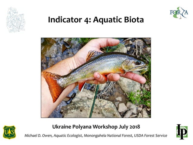4 aquatic biota_english_071418 | PDF