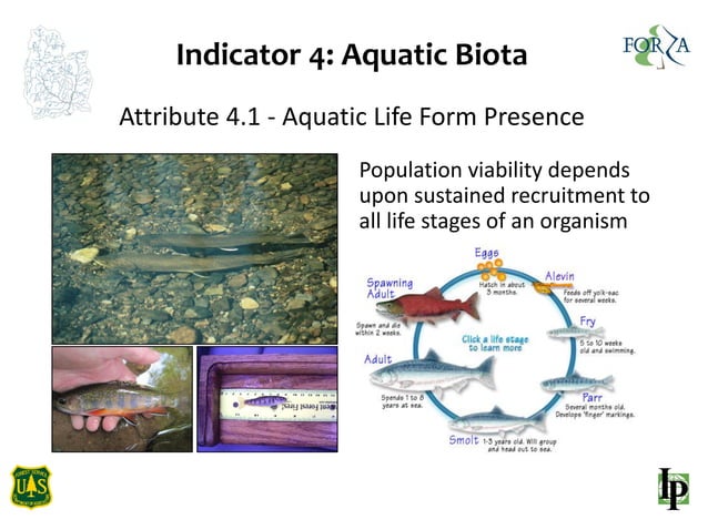 4 aquatic biota_english_071418 | PDF