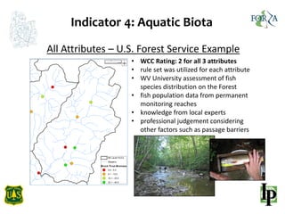 4 aquatic biota_english_071418 | PDF