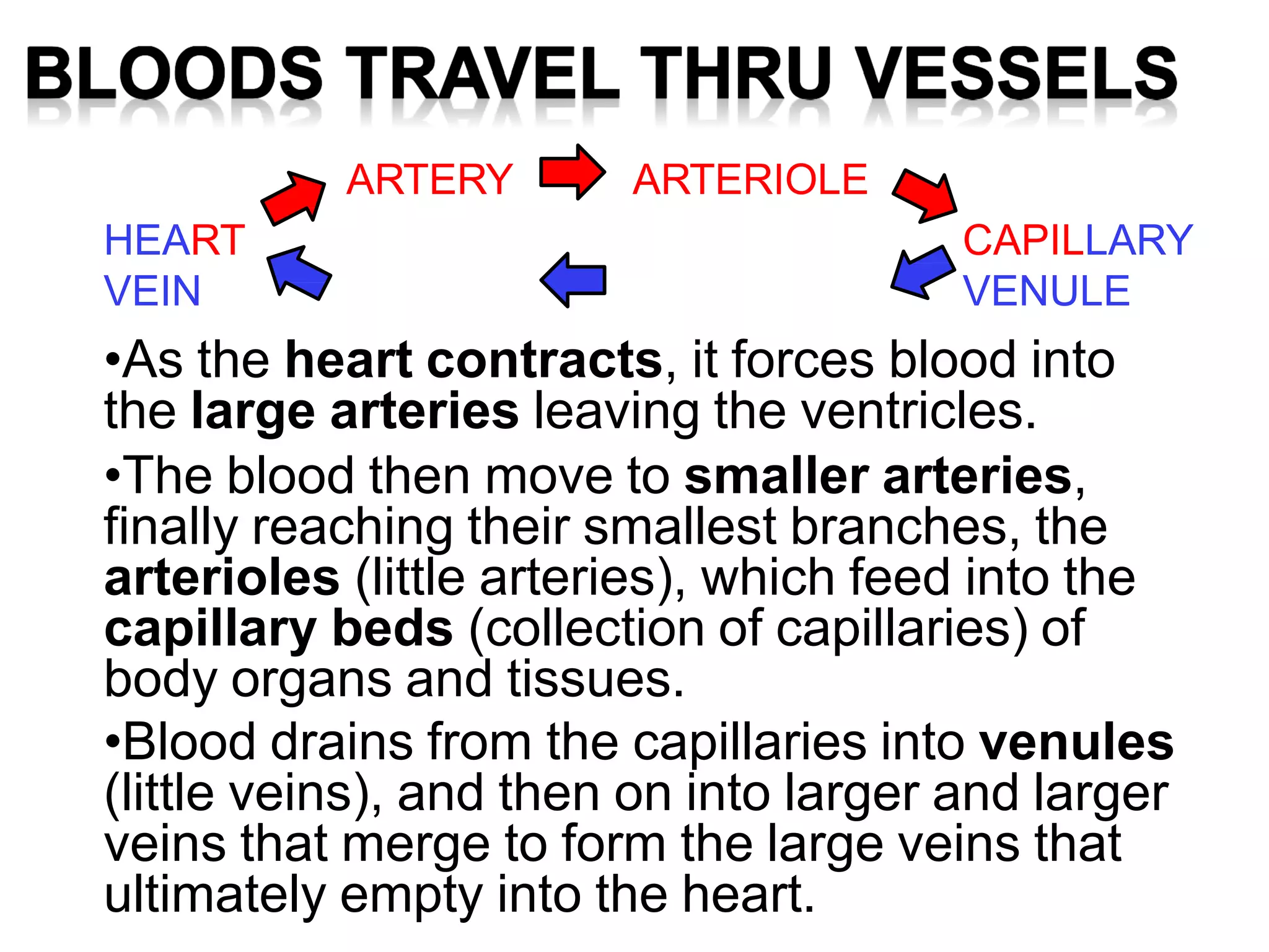 Artery and veins, capillaries, arteriole and venules, systemic ...