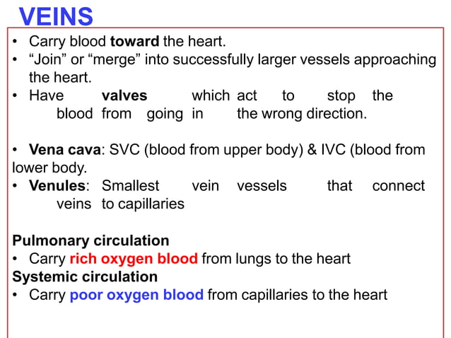 Artery and veins, capillaries, arteriole and venules, systemic ...