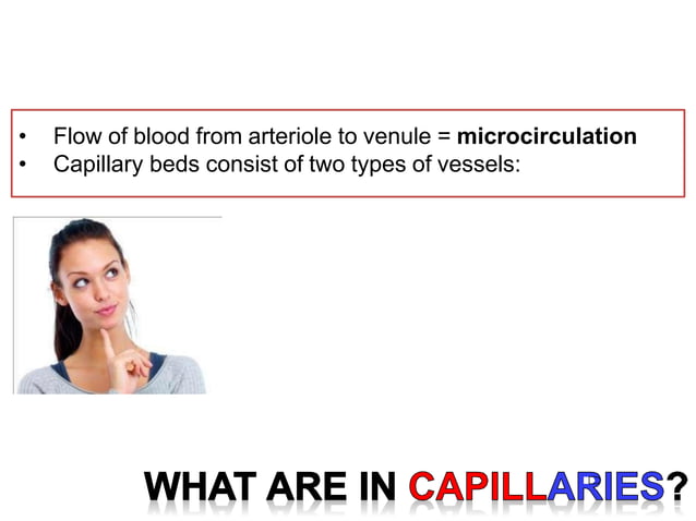 Artery and veins, capillaries, arteriole and venules, systemic ...
