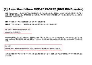 【技術解説4】assertion failureとuse after-free | PPT