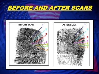 Scarred Patterns | PPT