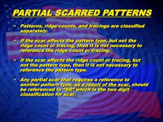 Scarred Patterns | PPT