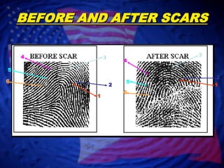Scarred Patterns | PPT