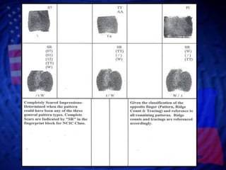 Scarred Patterns | PPT